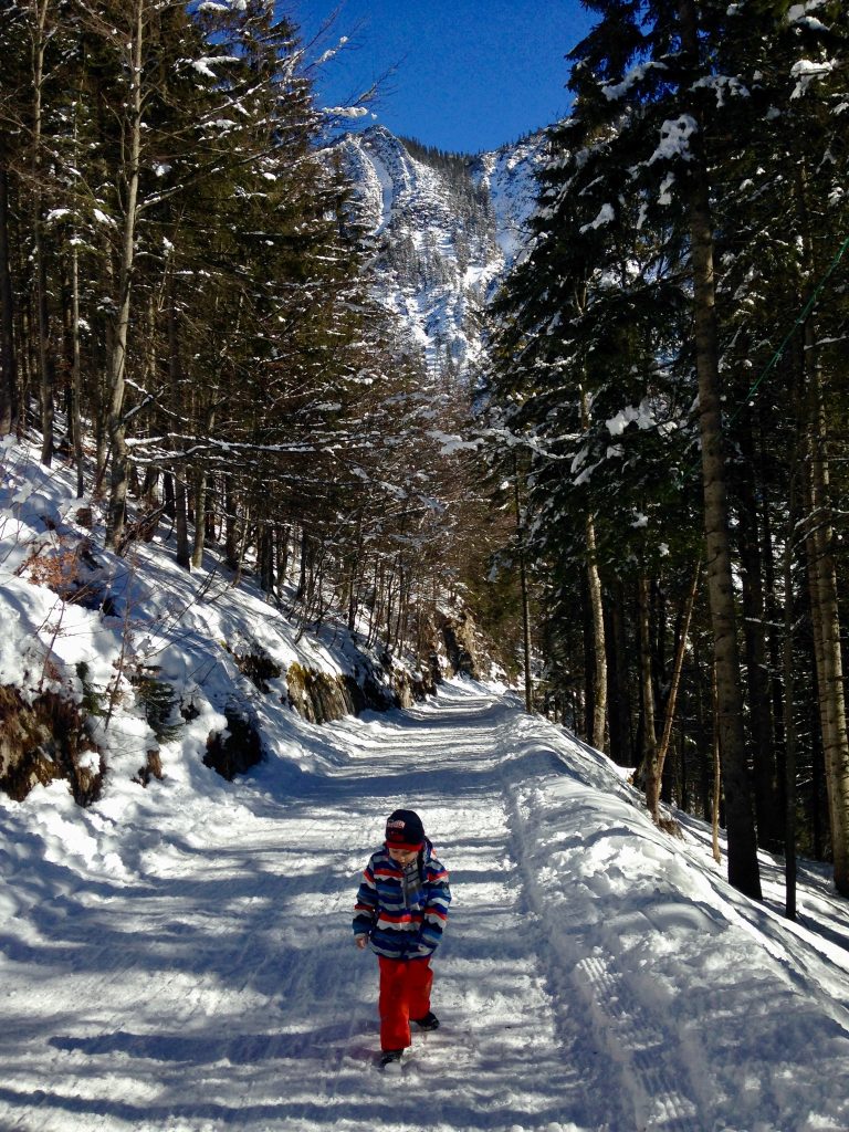 Drei leichte Winterwanderungen mit Kindern in Bayern - LIEBLINGSSPOT