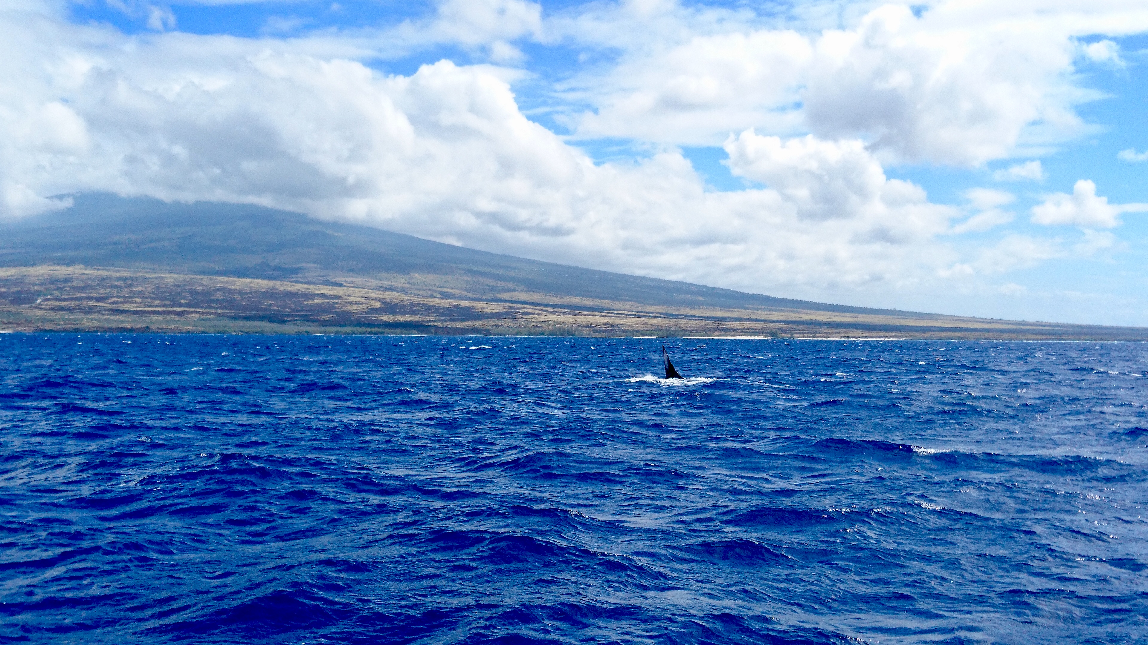 Hawaii Reise: Fotoreise in 15 Bildern - LIEBLINGSSPOT